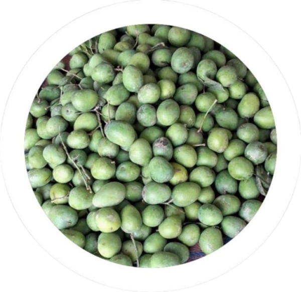 Shop Your Favourite Mithila Delicacies at Grameen Chator